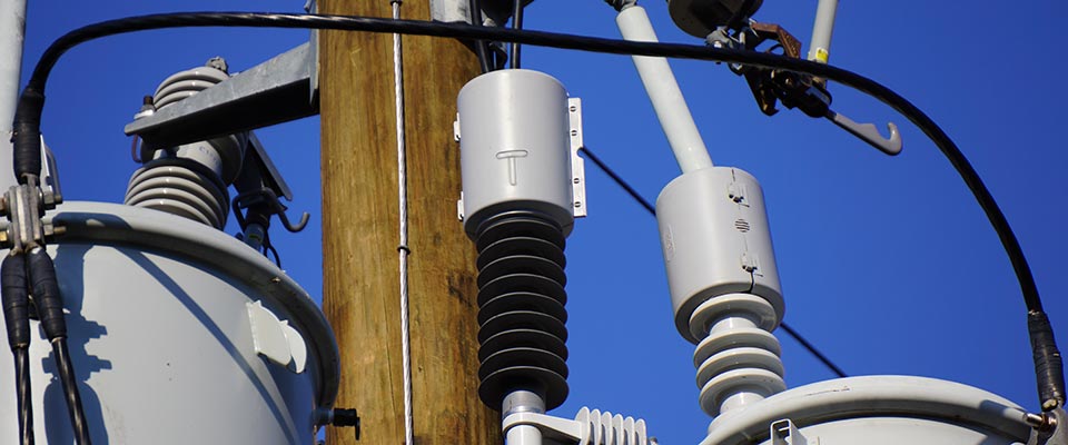 WIldlife Protectors Archives - Houston Injection Molding - Plastic ...